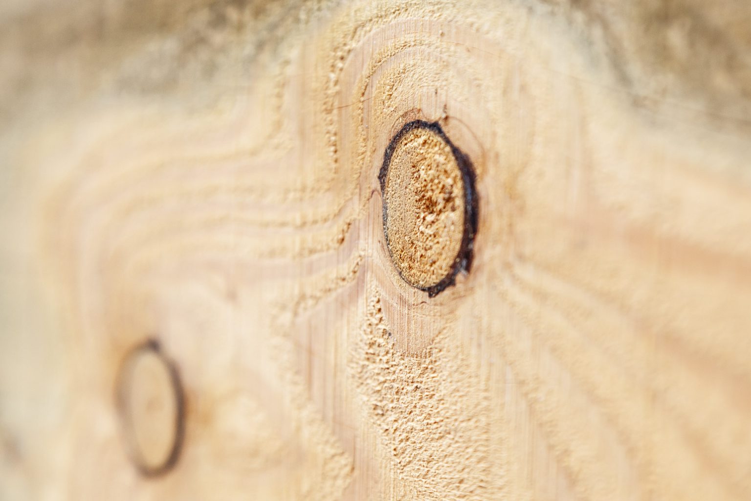 Wat is een knoest of kwast in hout? - van Engeland de Groot - Hout en ...