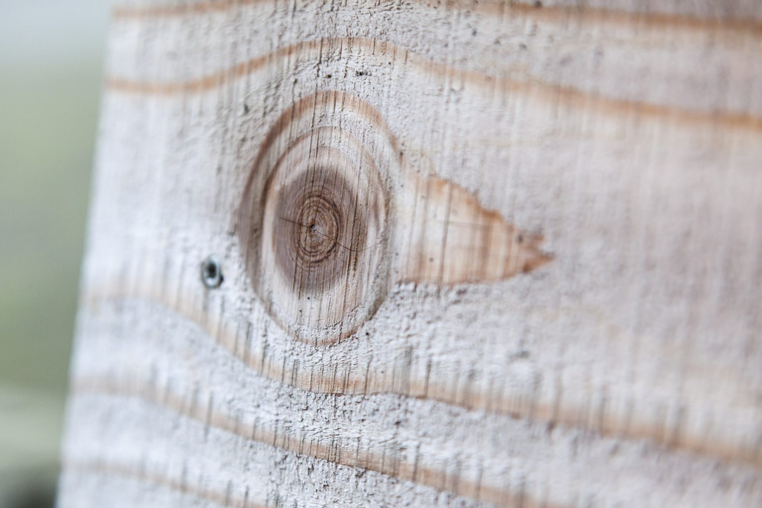 Wat is een knoest of kwast in hout? - VEDG